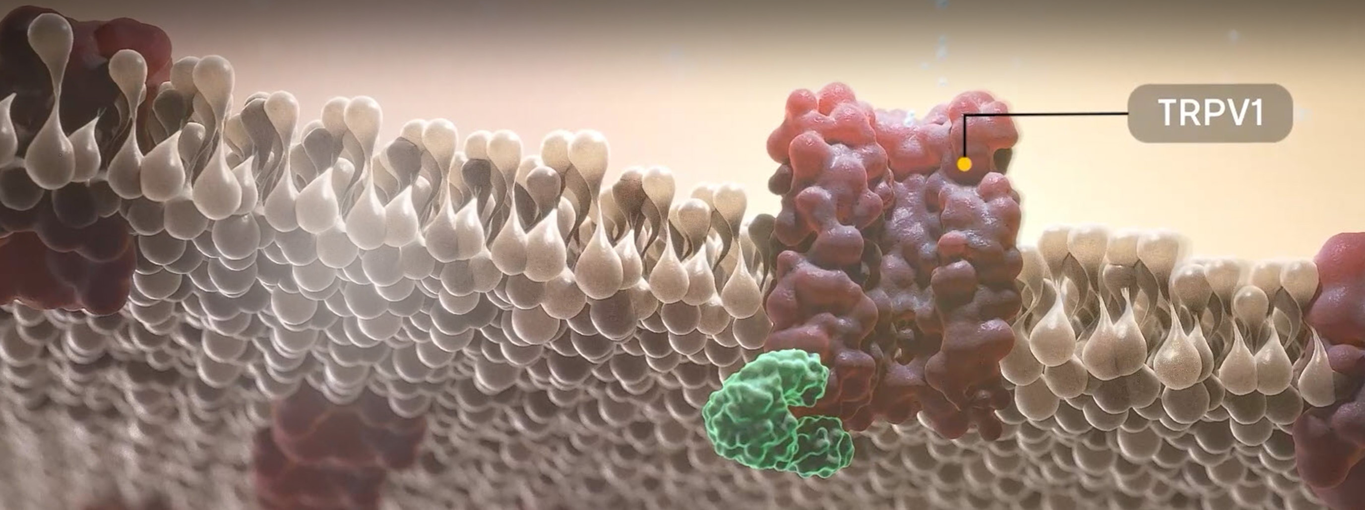 Welcome | Grunenthal